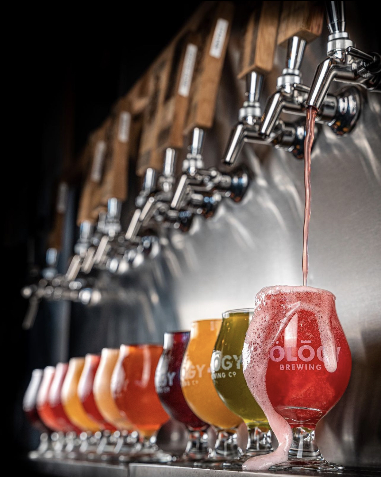 Ology Brewing